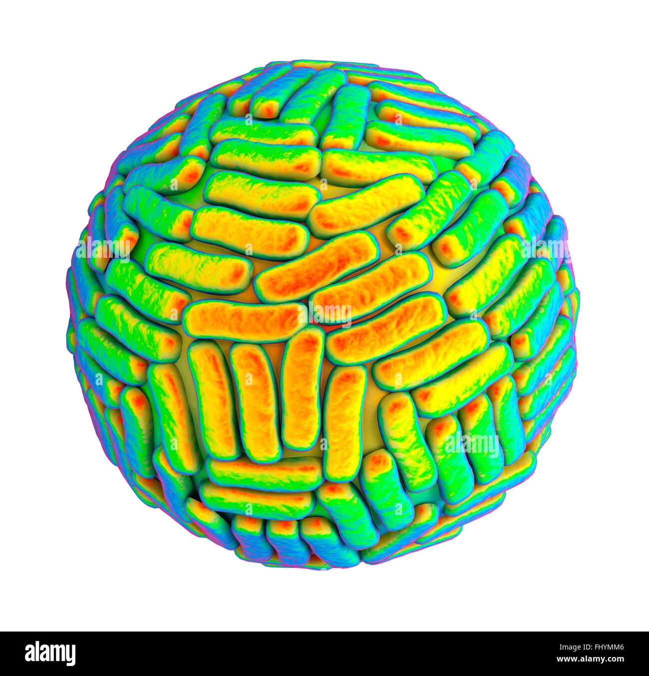 Zika virus, computer illustration This is an RNA (ribonucleic acid ...