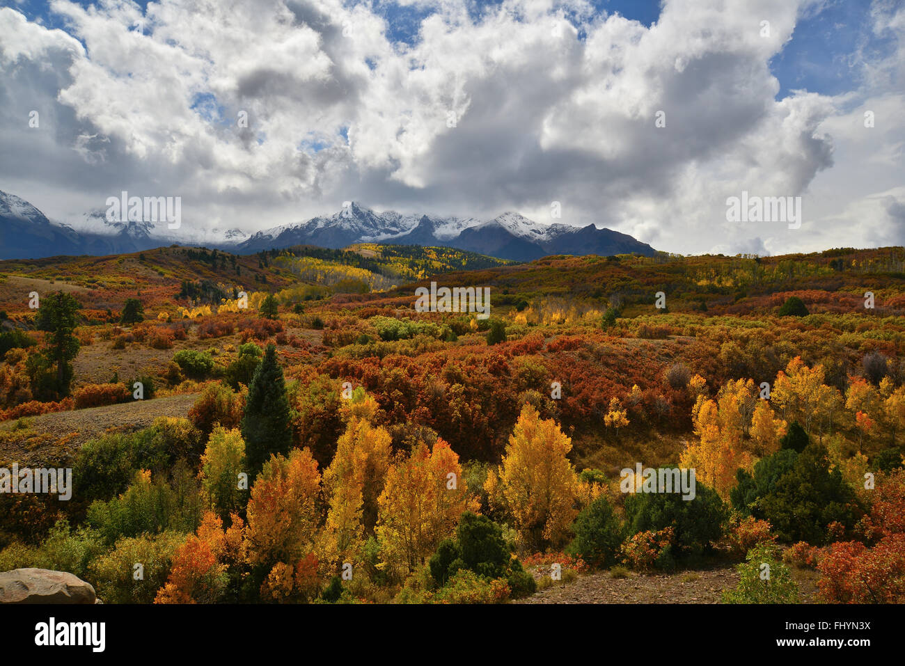 Fall color comes to Dallas Divide along HWY 62 West of Ridgway and ...