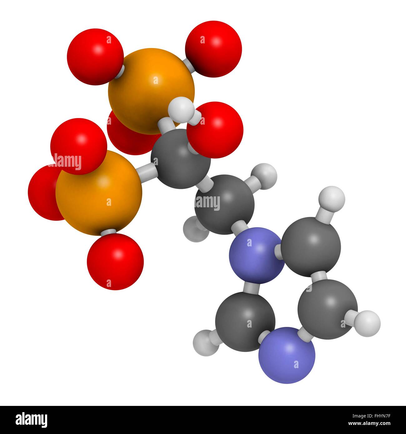 Paget model hi-res stock photography and images - Alamy