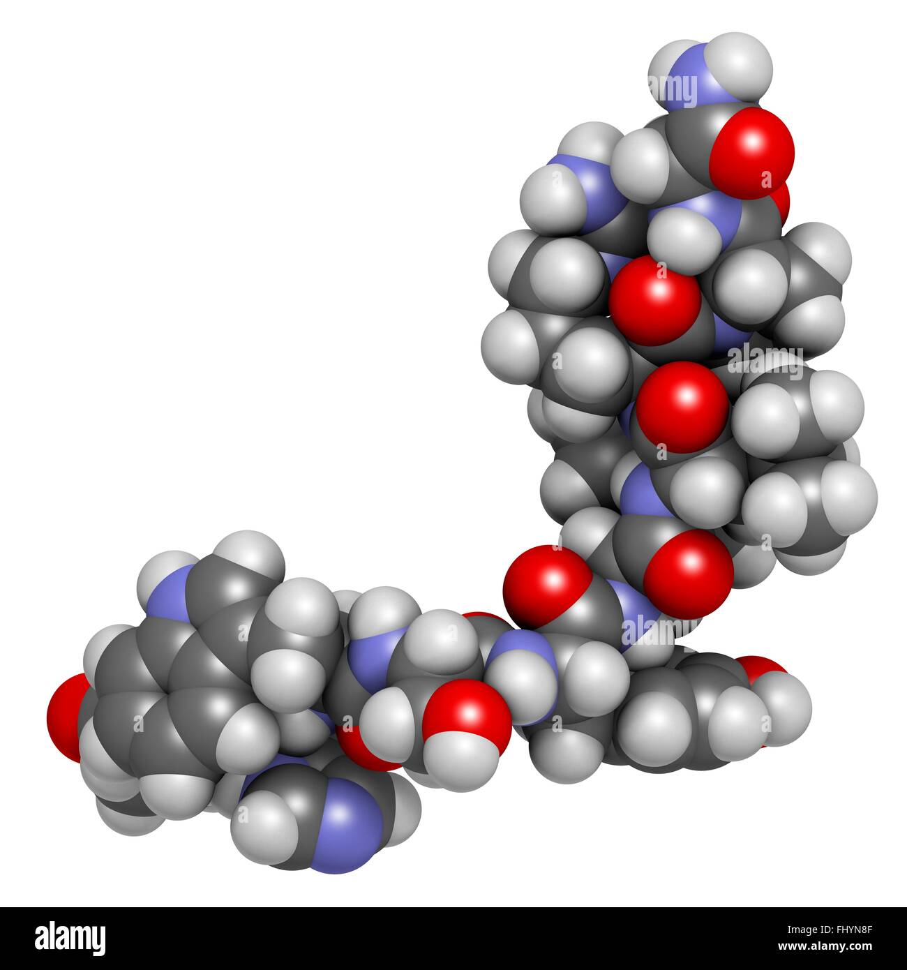 Gonadotropin High Resolution Stock Photography and Images - Alamy
