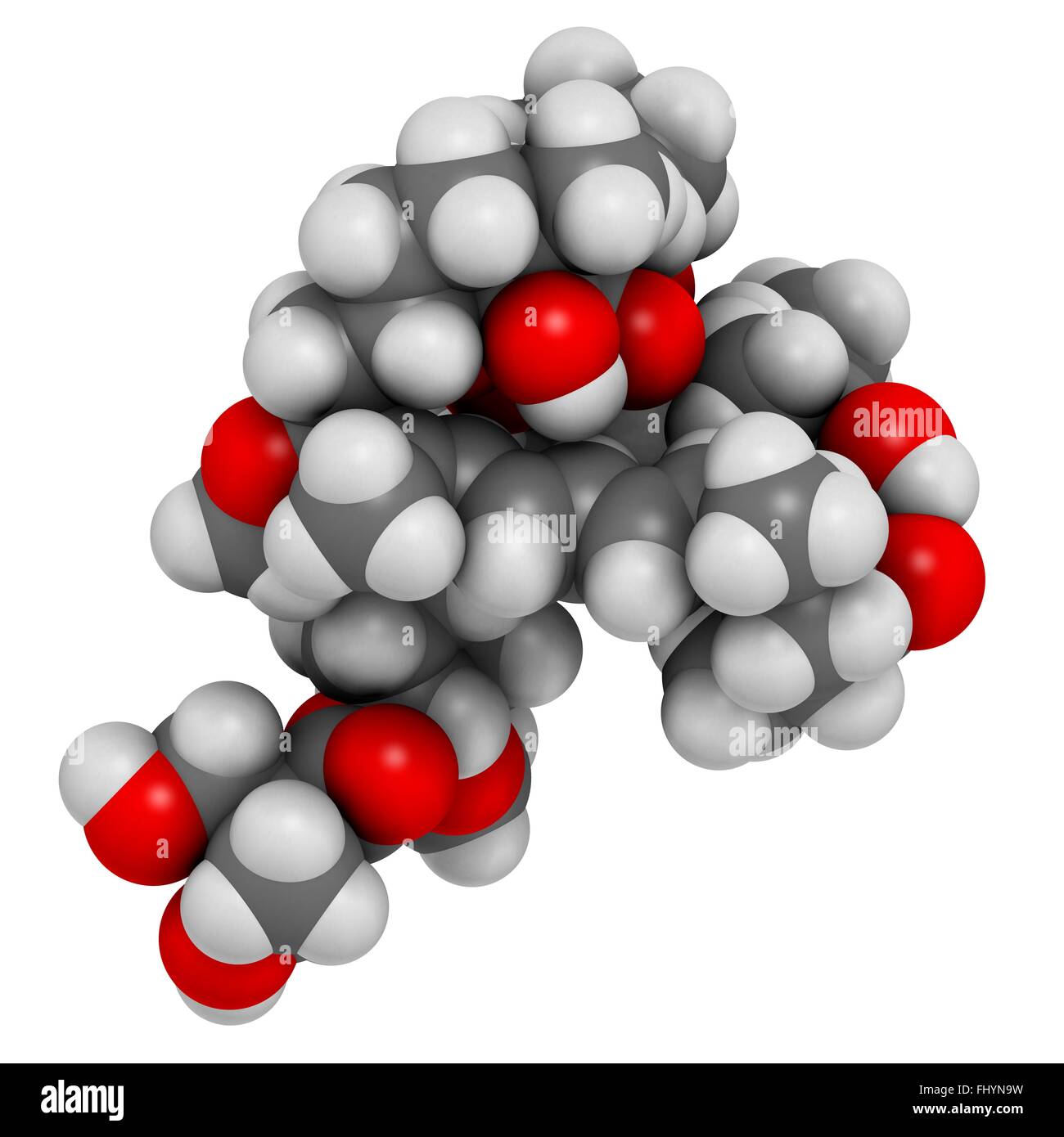 Mtor High Resolution Stock Photography and Images - Alamy