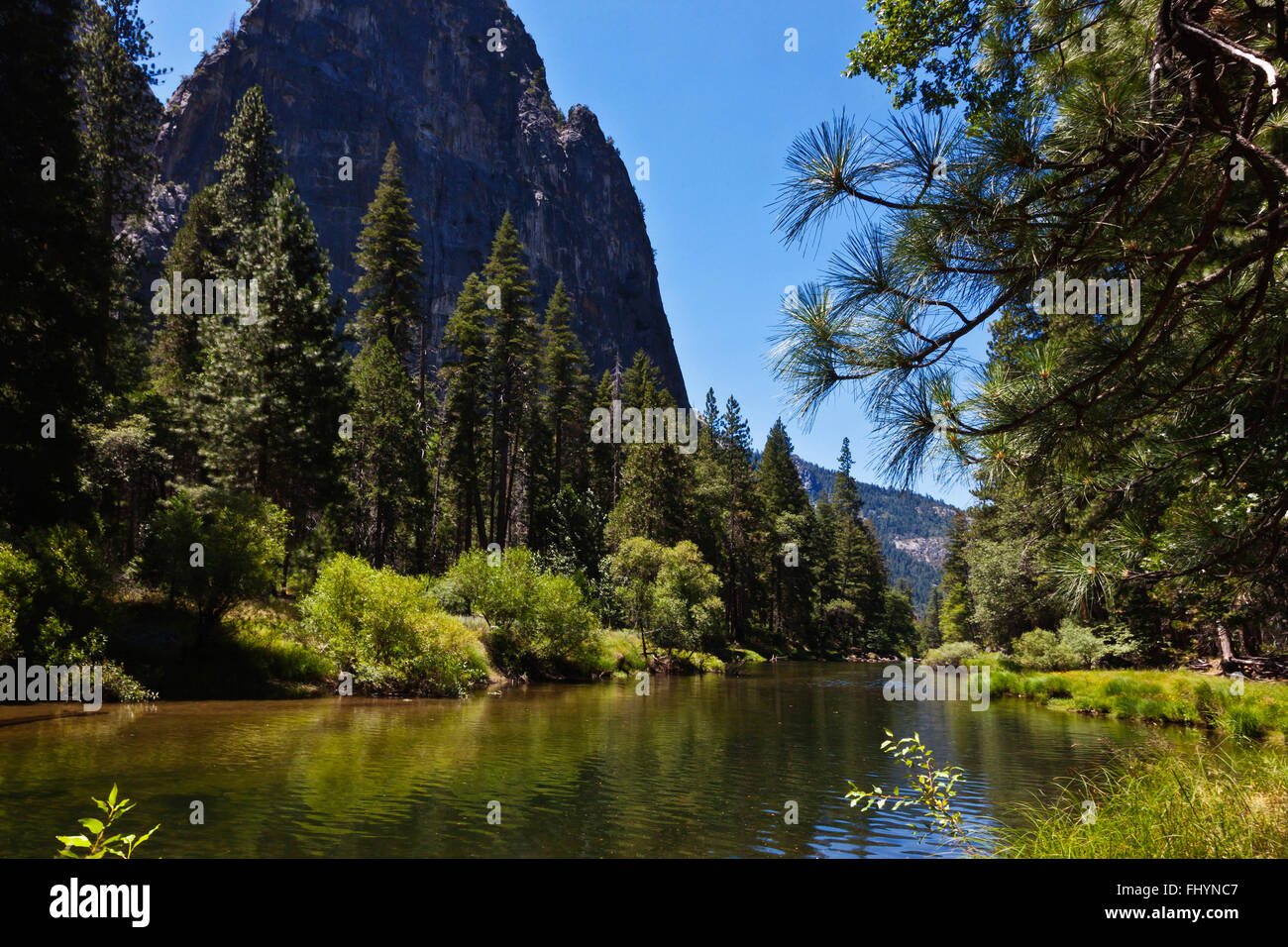 The MERCED RIVER meanders through the YOSEMITE VALLEY in spring ...