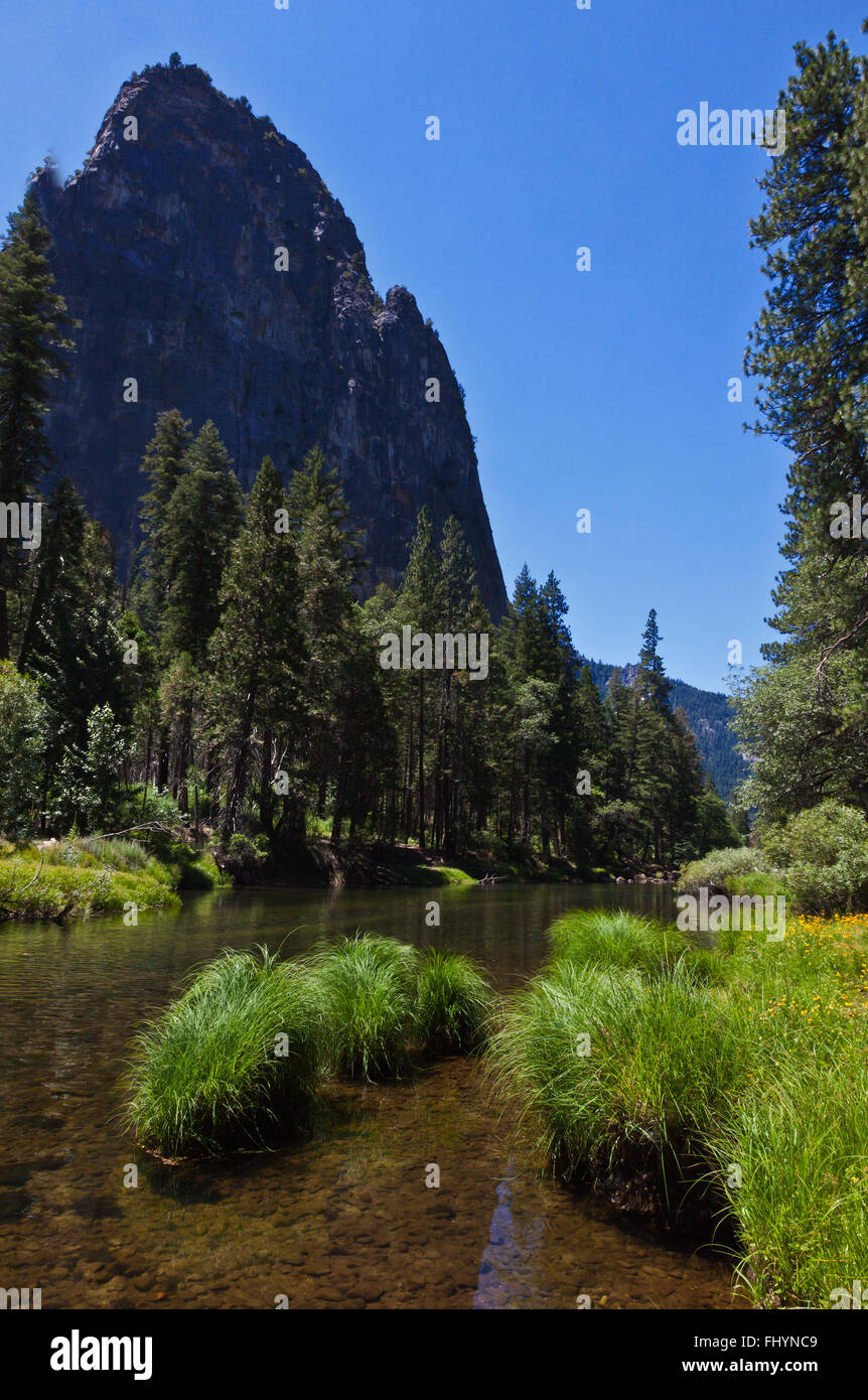 The MERCED RIVER meanders through the YOSEMITE VALLEY in spring ...