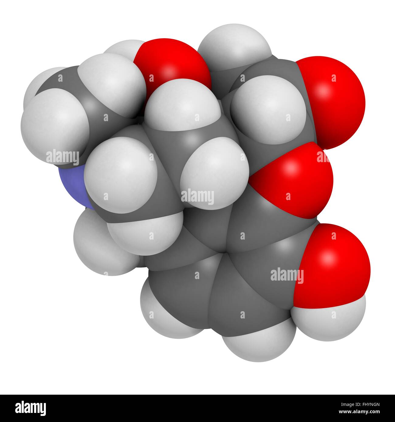 Oxymorphone opioid analgesic drug molecule Atoms are represented as ...