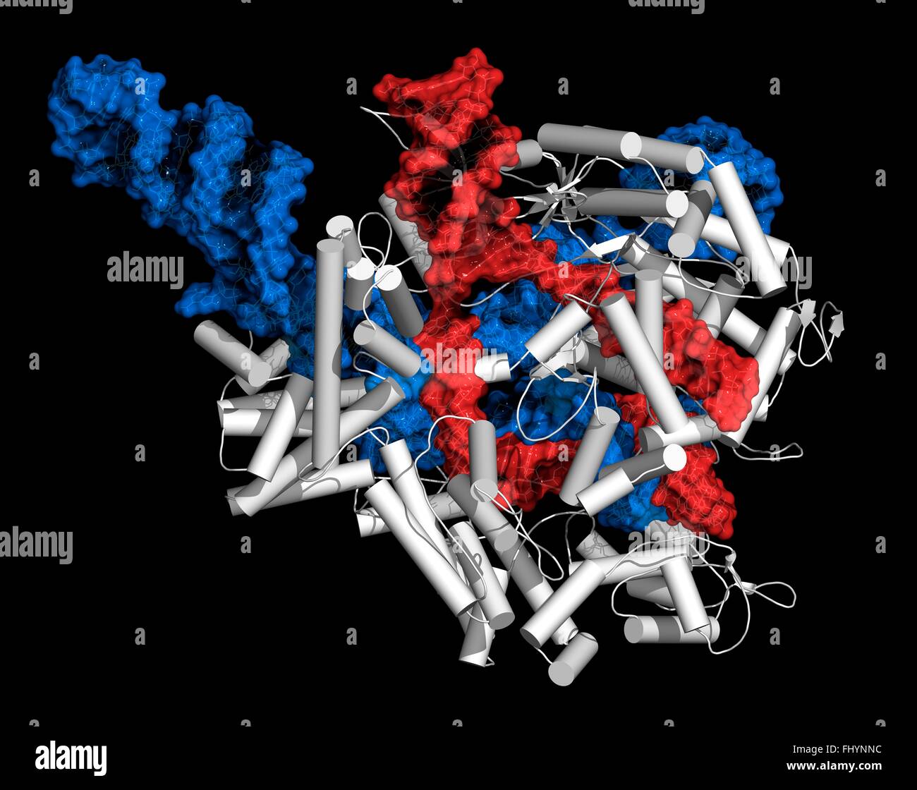CRISPR-CAS9 gene editing complex from Streptococcus pyogenes The Cas9 ...
