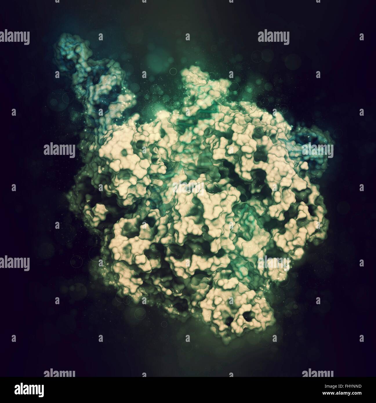 CRISPR-CAS9 gene editing complex from Streptococcus pyogenes The Cas9 ...