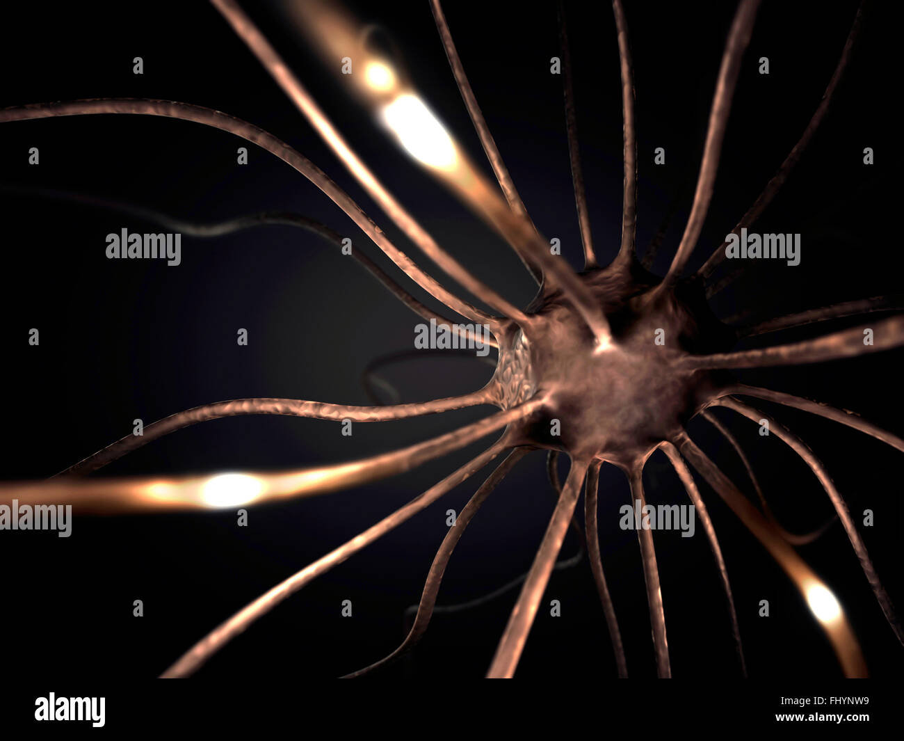 Nerve cell, illustration Stock Photo - Alamy