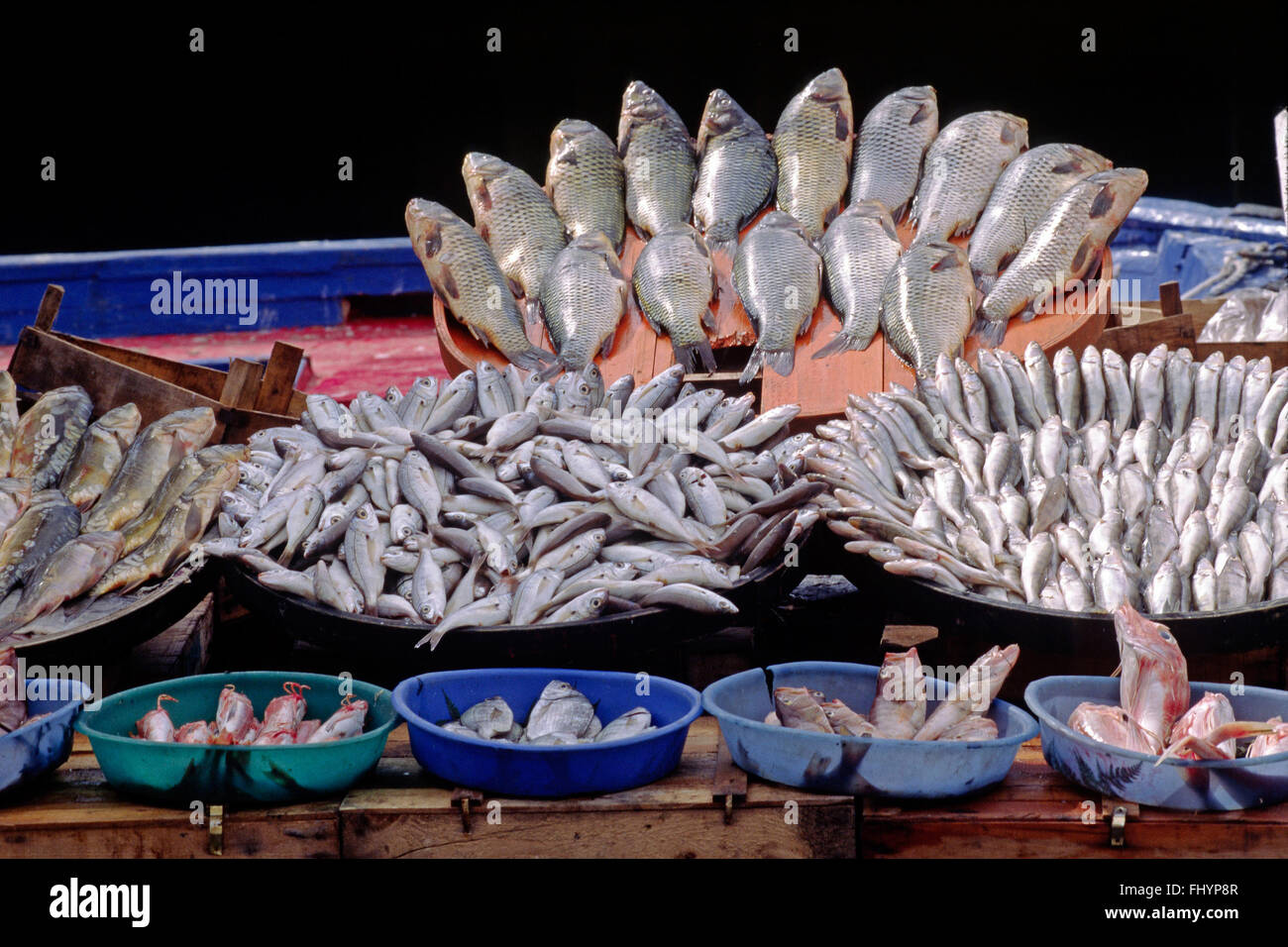 Fresh fish on display - Istanbul, Turkey Stock Photo - Alamy