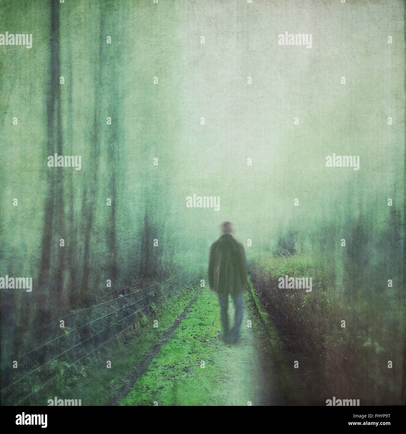 Man walking on forest path Stock Photo - Alamy