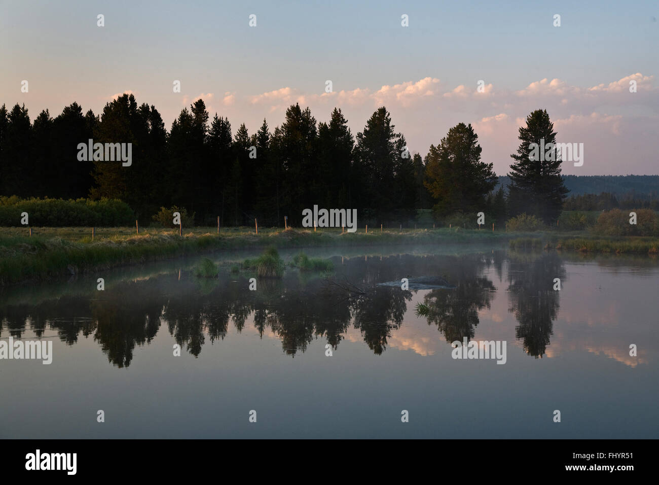A ranch POND in the early morning FOG - WEST YELLOWSTONE, MONTANA Stock ...