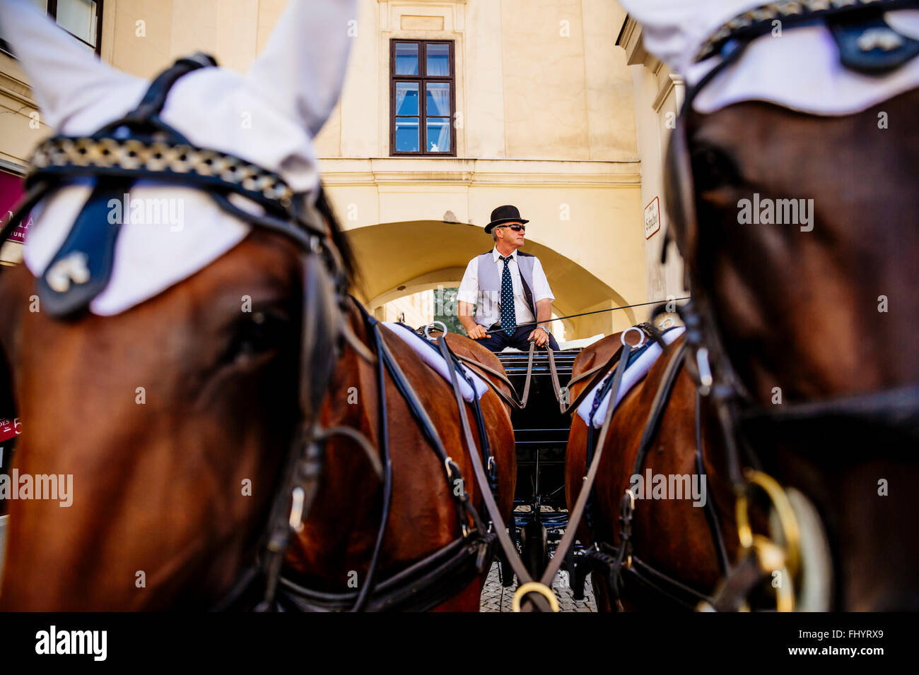 Head coachman hi-res stock photography and images - Alamy