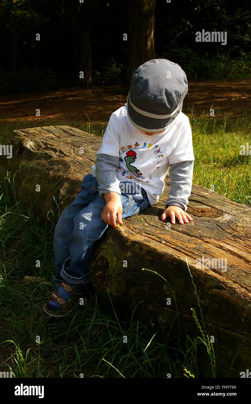 A little boy sitting on a log, picking at the wood by migib Stock Photo ...
