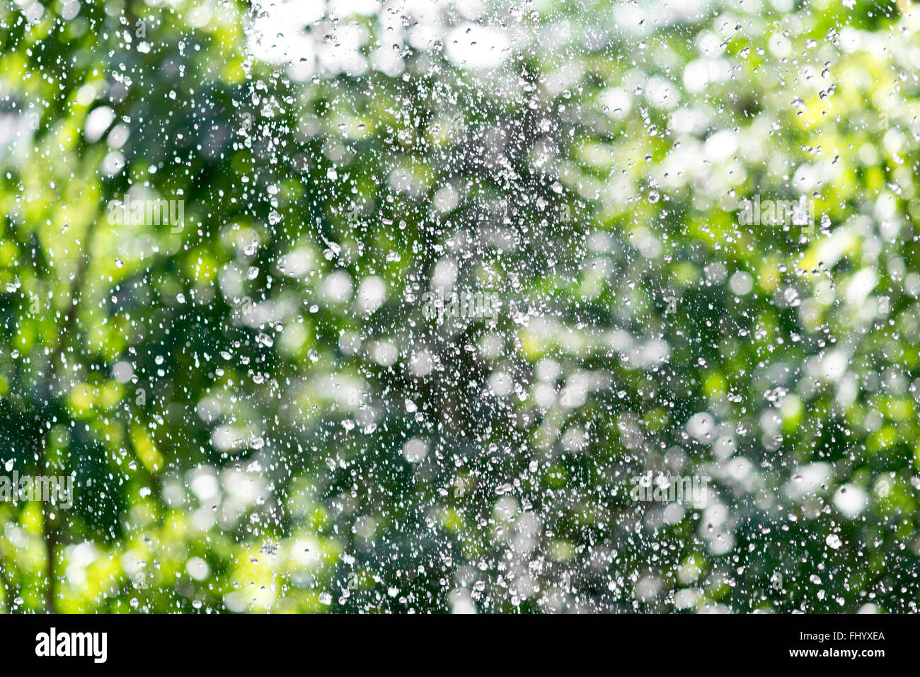 close up of rain drops Stock Photo - Alamy