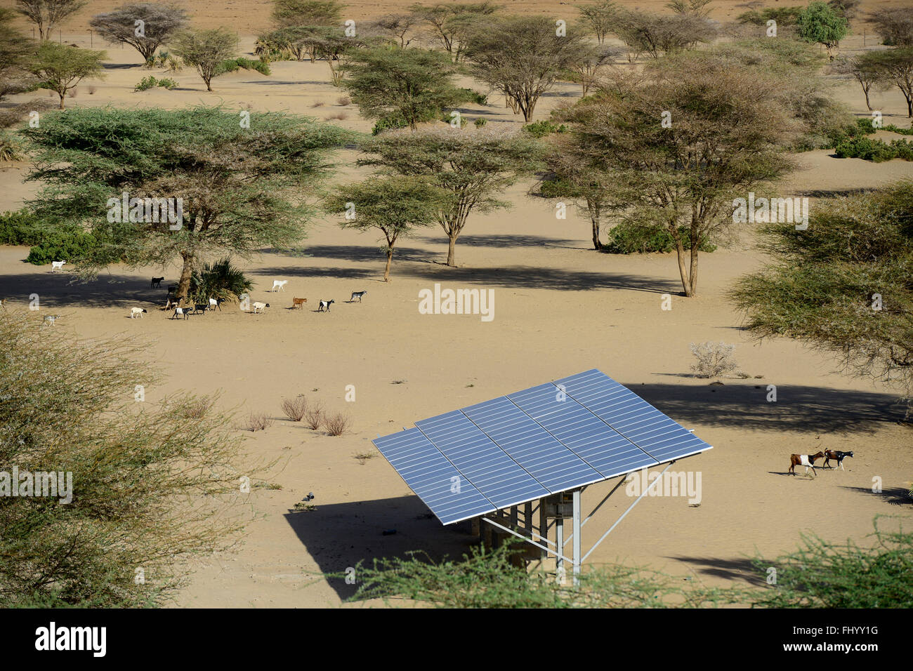 KENYA, Lodwar, energy transition, NAPUU drip irrigation scheme by the ...