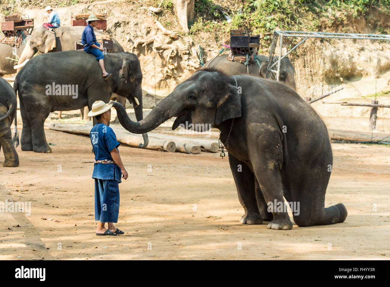 Asian man put on hat hi-res stock photography and images - Alamy