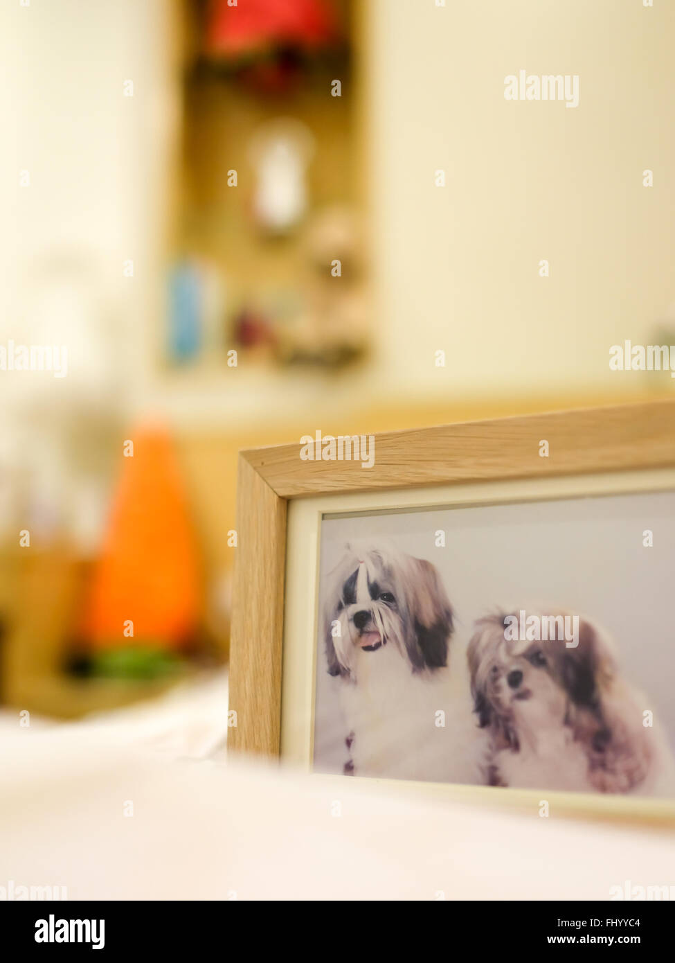 Dog memory hi-res stock photography and images - Alamy