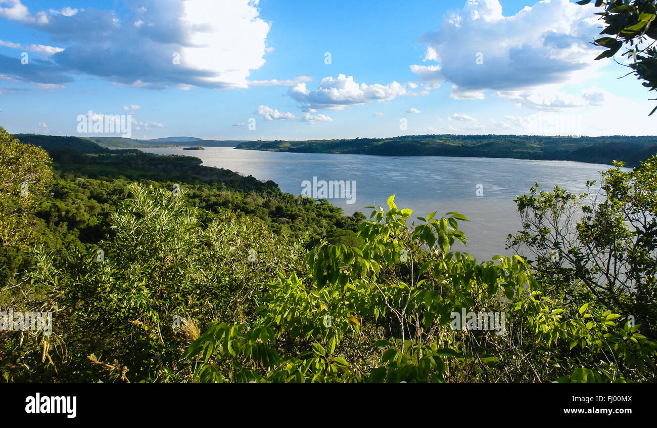 Panoramic view on the jungle Stock Photo - Alamy
