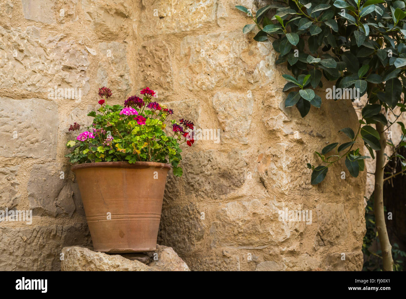 The Haret Jdoudna Restaurant in Madaba, Hashemite Kingdom of Jordan ...