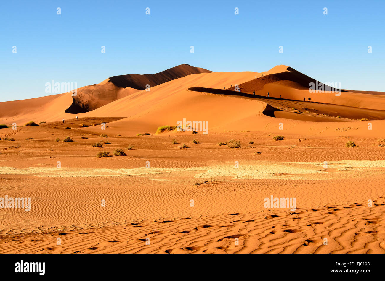amazing scenery of the Namib desert in Namibia Stock Photo - Alamy