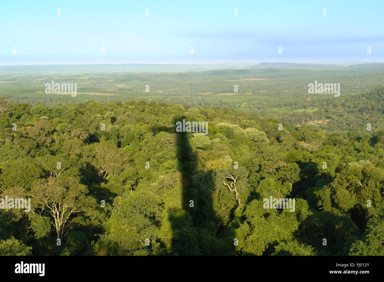 Cross shadows on the jungle Stock Photo - Alamy