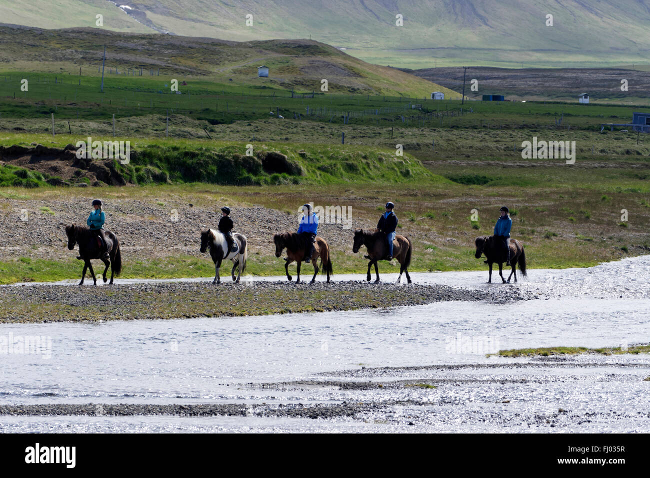 Iceland Horse Riding People High Resolution Stock Photography and ...