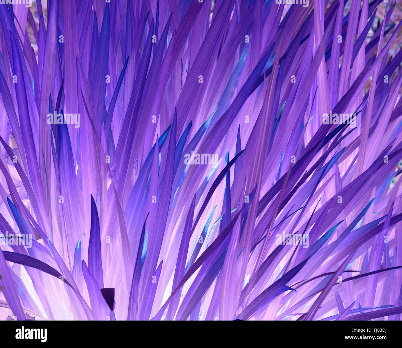 Abstract design based upon natural materials Stock Photo - Alamy