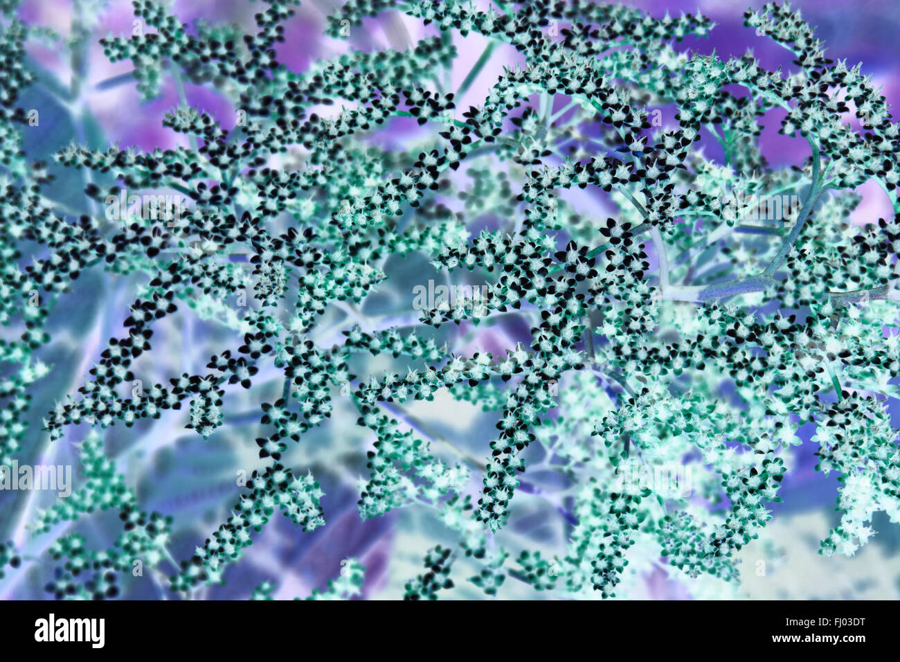 Abstract design based upon natural materials Stock Photo - Alamy