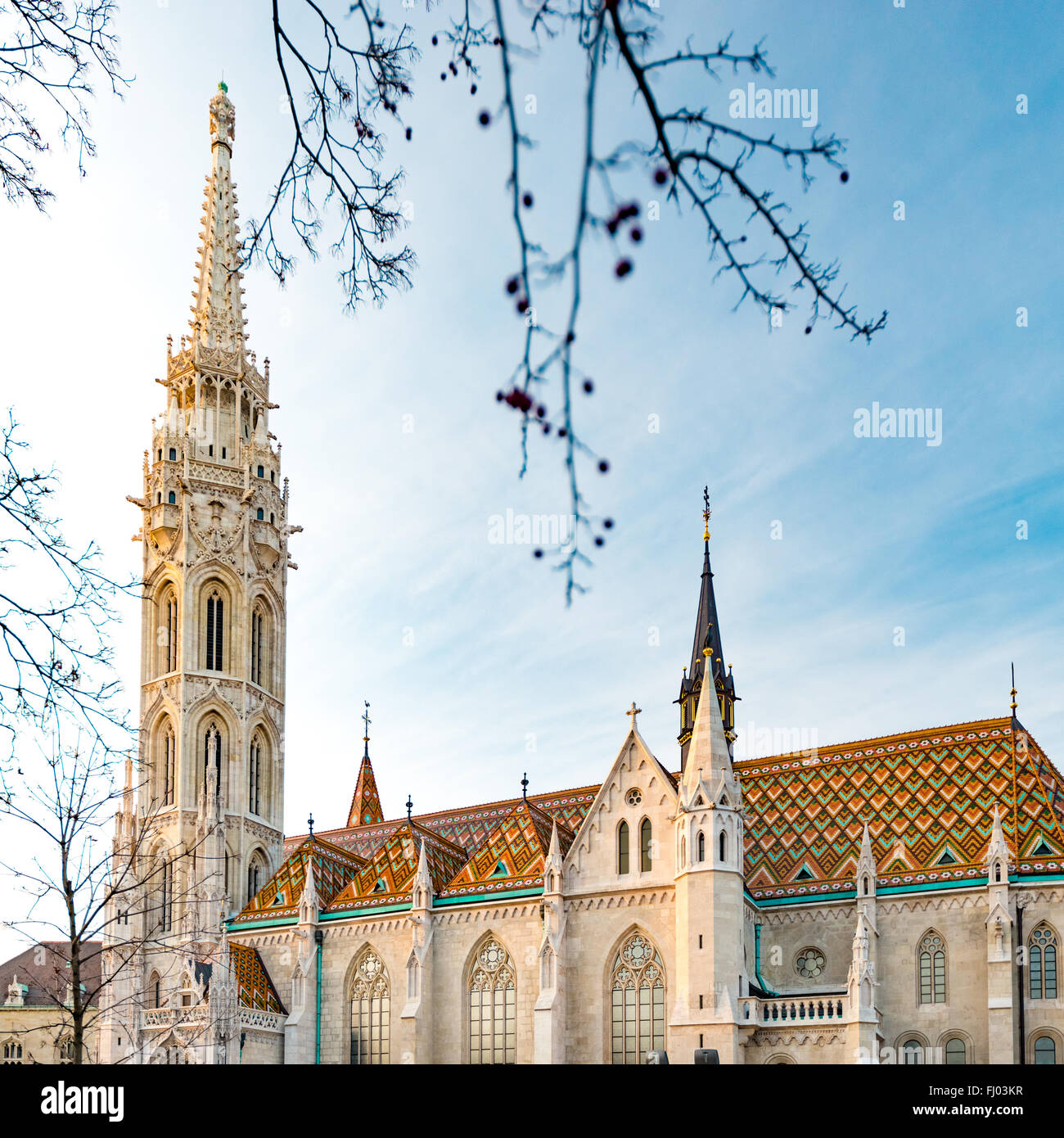 Old town architecture of Budapest. Buda temple church of Matthias. Buda ...