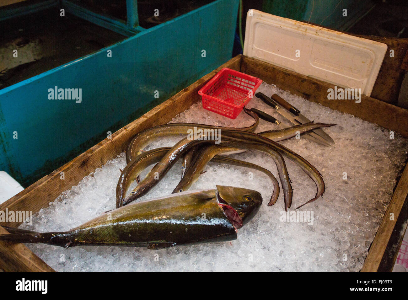 Fish on ice at the Tsukiji fish market in Tokyo Stock Photo - Alamy