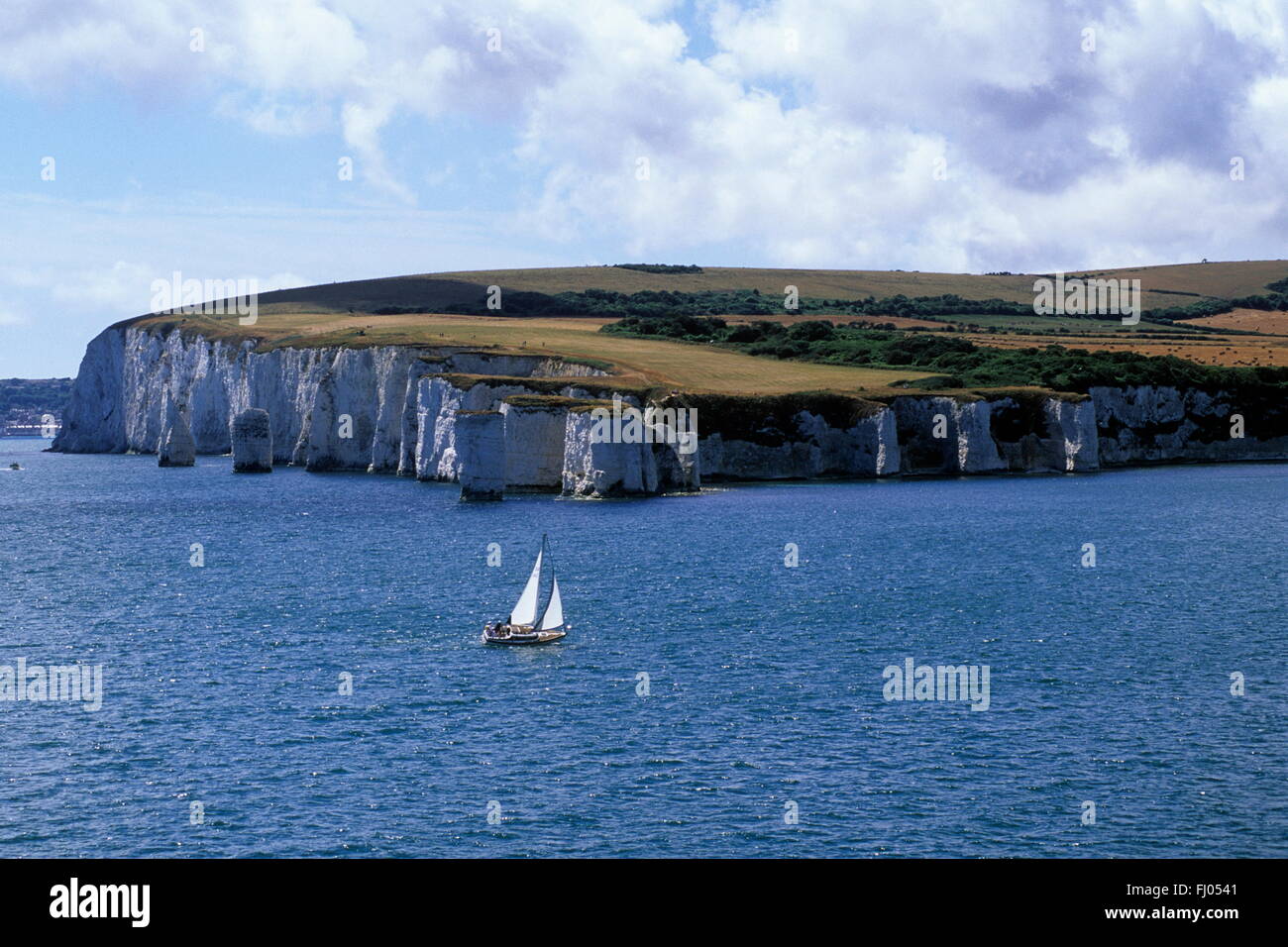 White cliffs with green trees hi-res stock photography and images - Alamy
