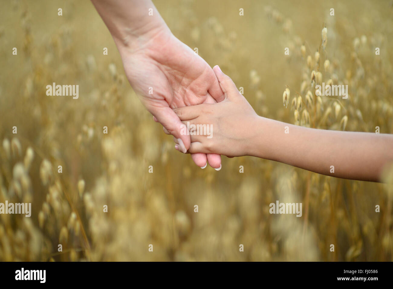 Holding hands together closeup Stock Photo - Alamy