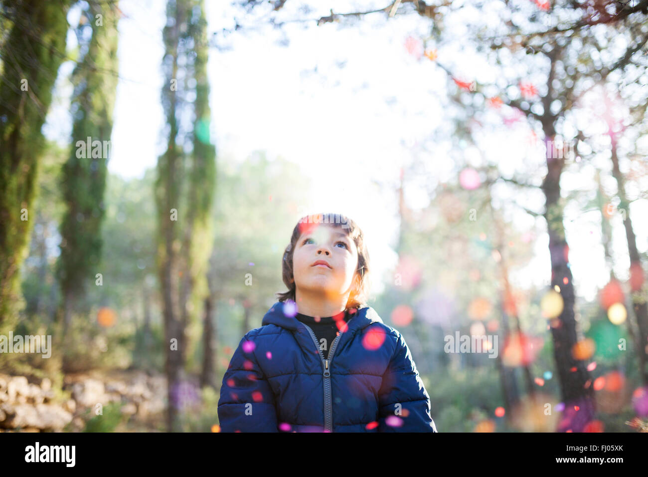 Little boy looking up to falling confetti in the air Stock Photo - Alamy
