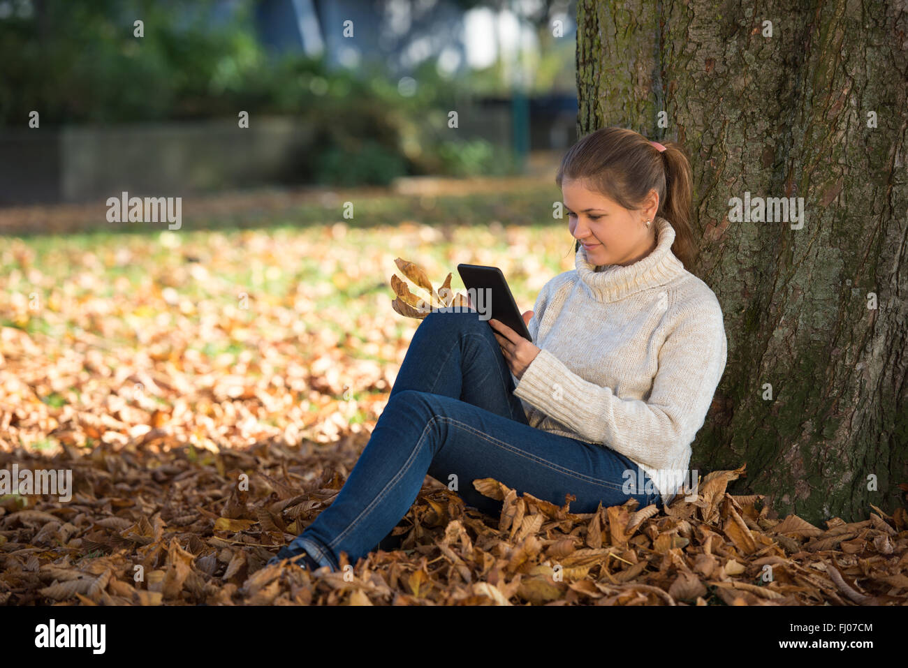 young woman in autumn park sitting near tree reading ebook Stock Photo ...