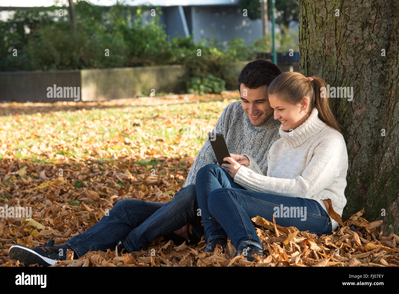 young couple in autumn park sitting near tree reading ebook Stock Photo ...