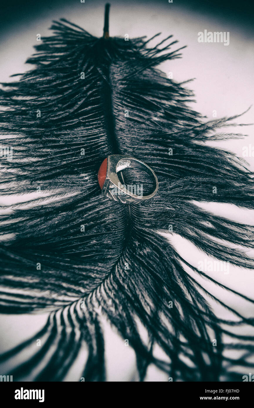 Feather rings hi-res stock photography and images - Alamy