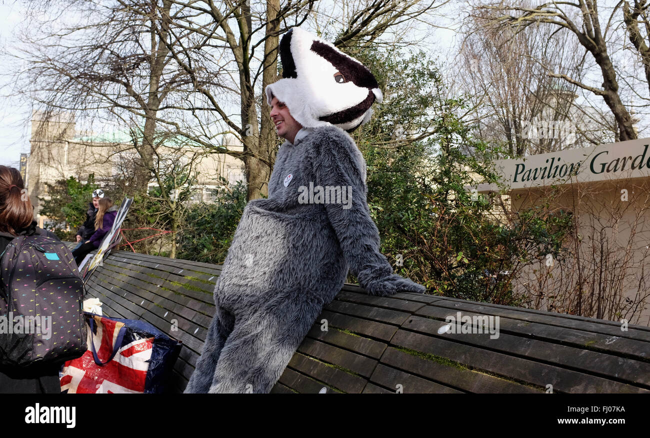 Badger costume hi-res stock photography and images - Alamy