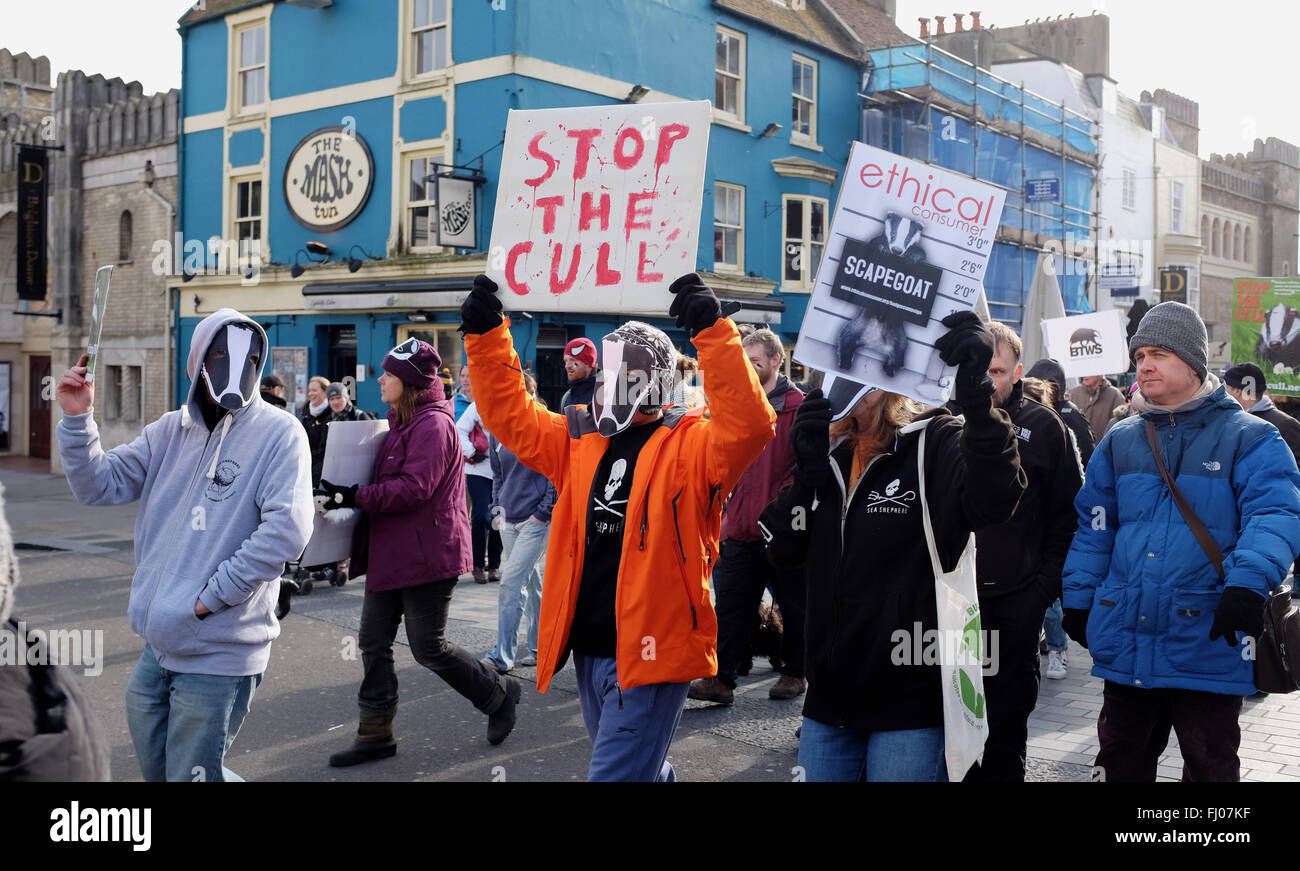 Brighton UK 27th February 2016 - Anti Badger Cull protesters gathered ...