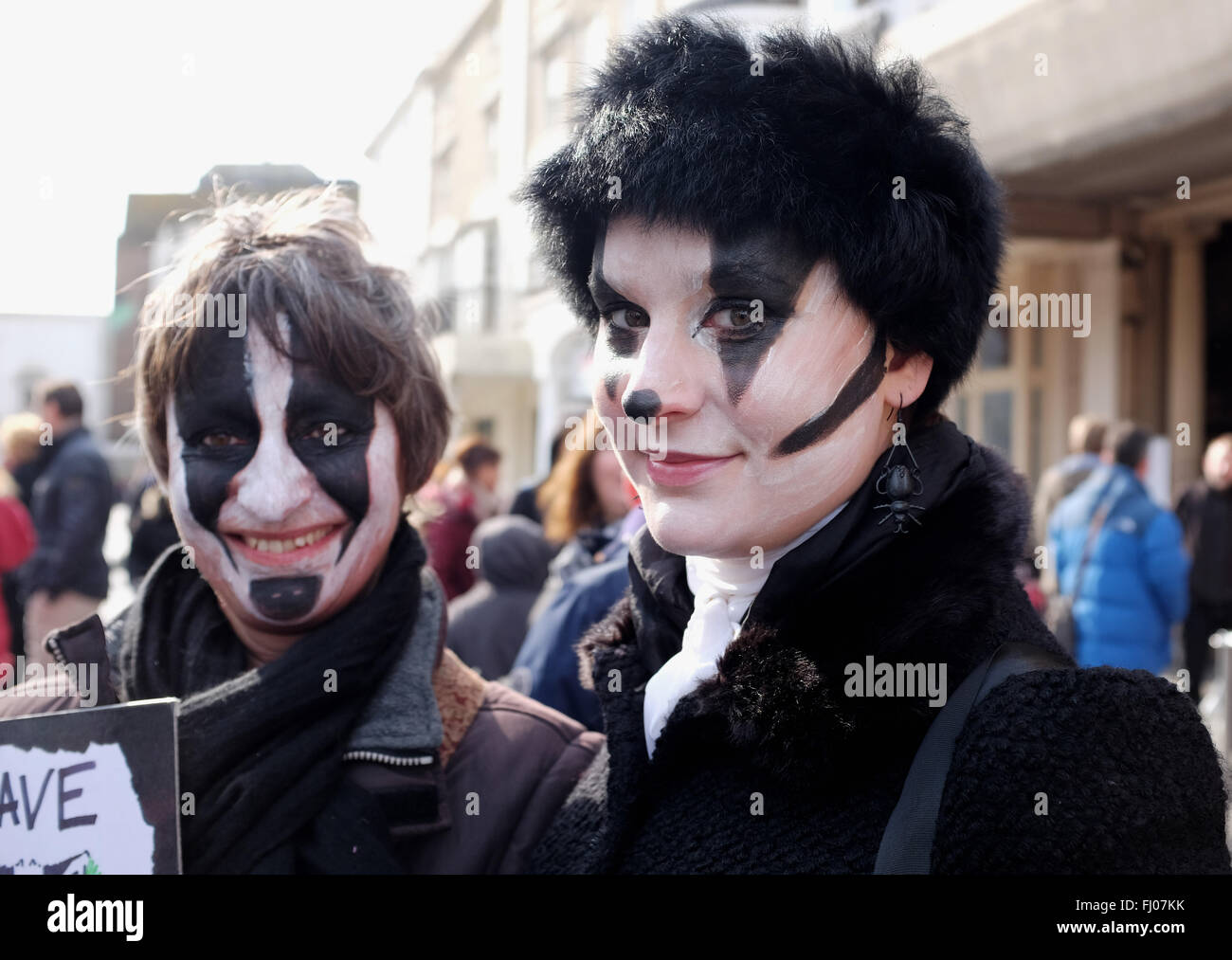 Badger face paint hi-res stock photography and images - Alamy
