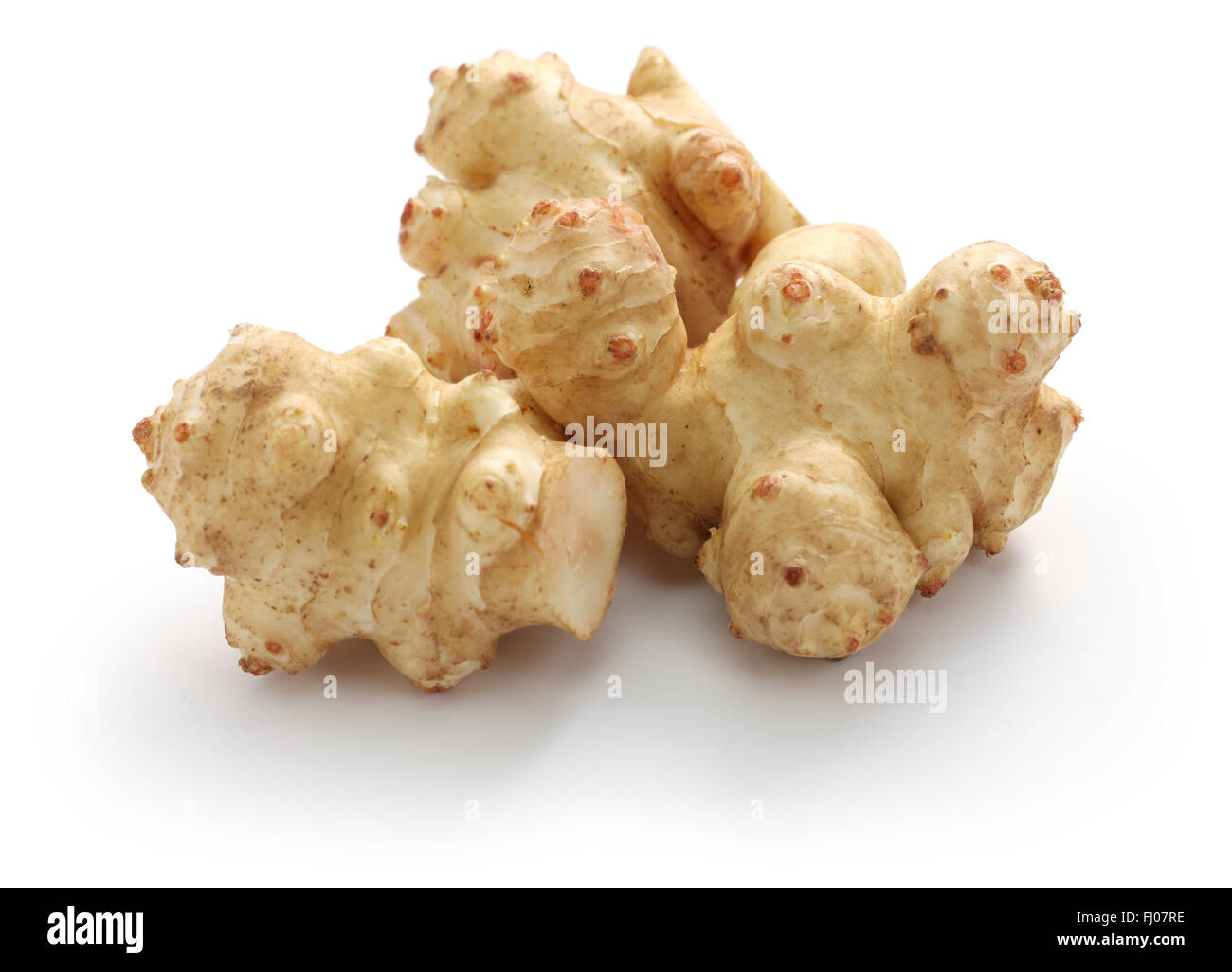 jerusalem artichoke,sunchoke,sunroot isolated on white background Stock ...