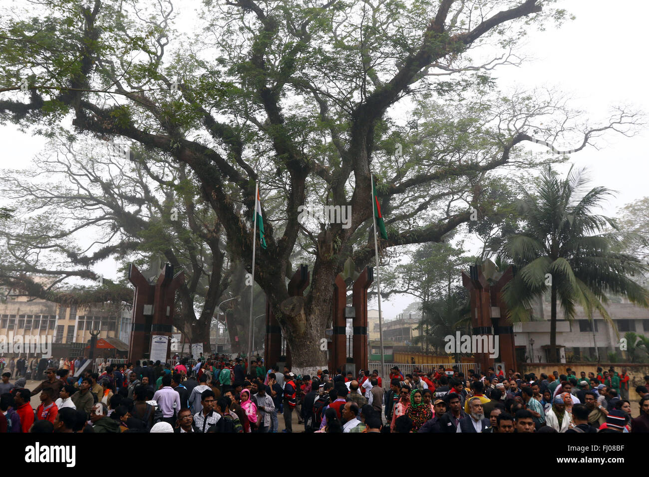 Check border hi-res stock photography and images - Alamy