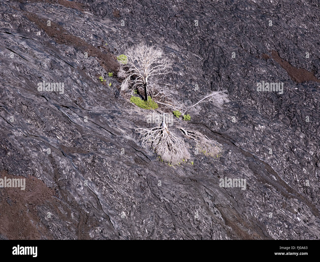 Lava rock formation hi-res stock photography and images - Alamy