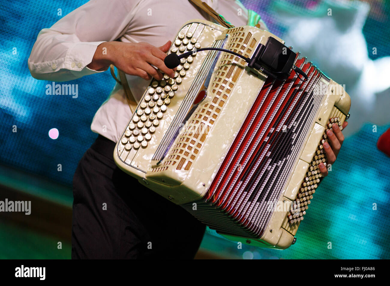 The musician playing the accordion Stock Photo - Alamy