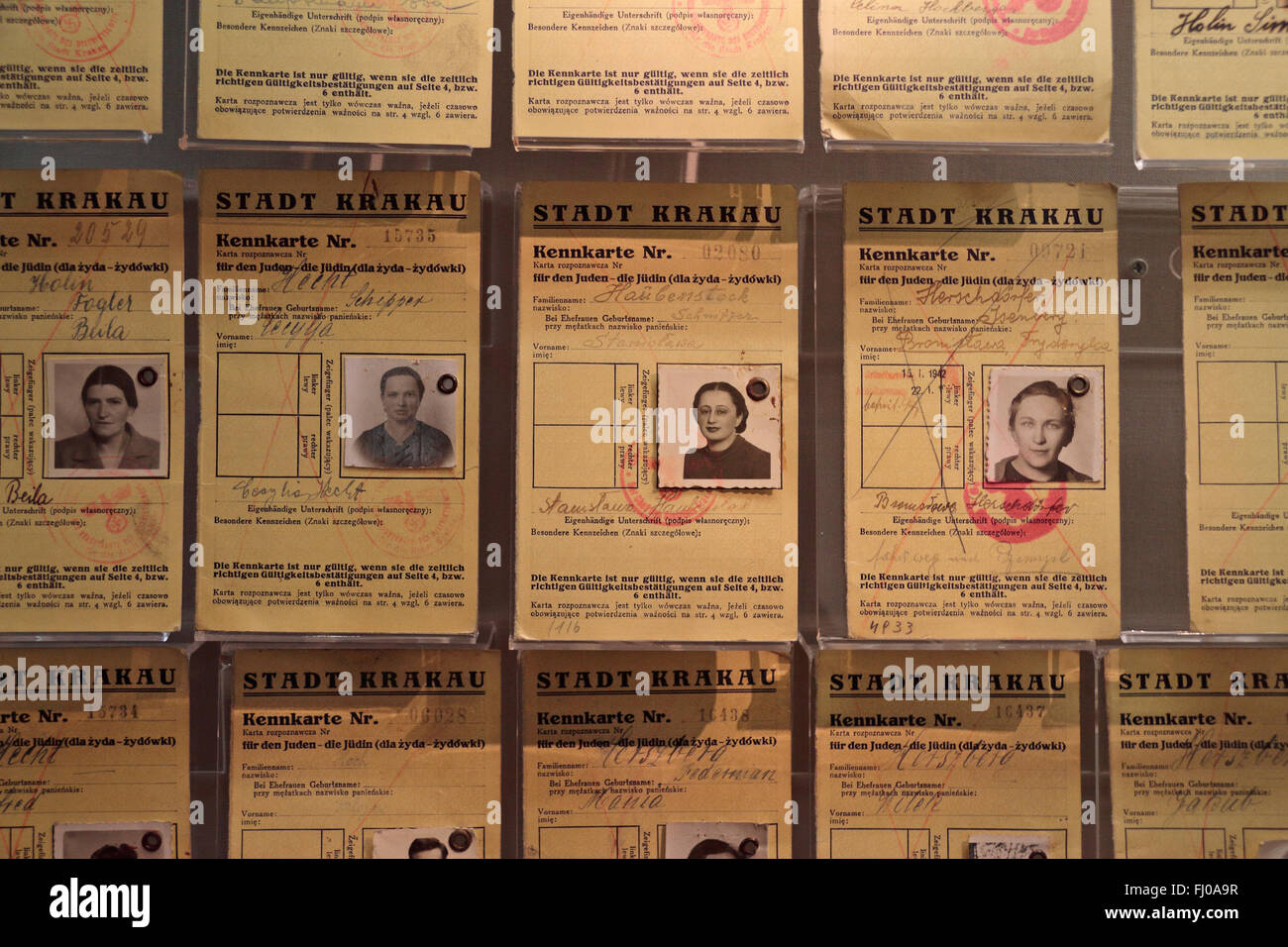 Display showing Jewish identity cards from the Krakow ghetto Poland ...