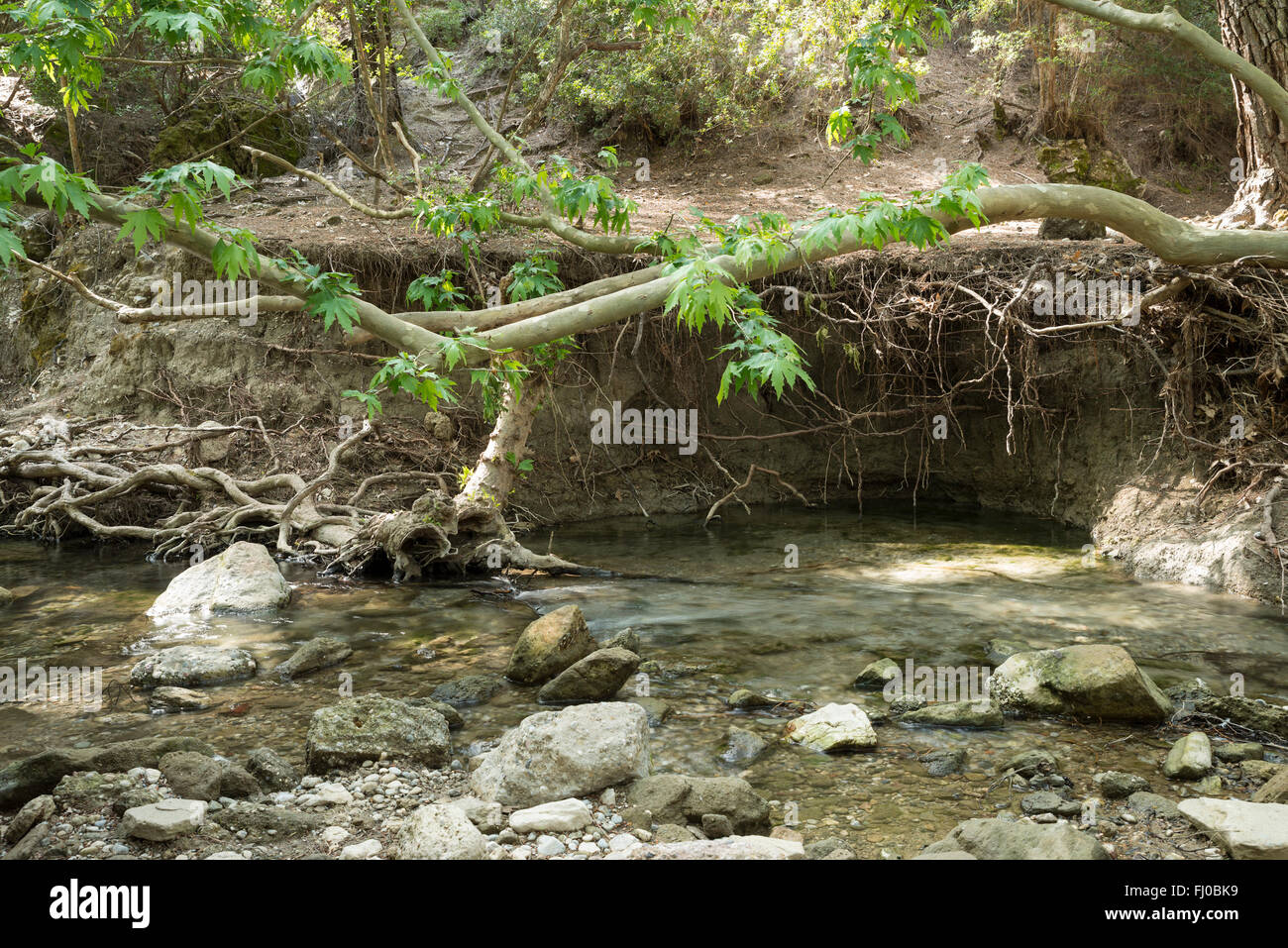 Stream, Seven Springs, Rhodes, Greece Stock Photo - Alamy