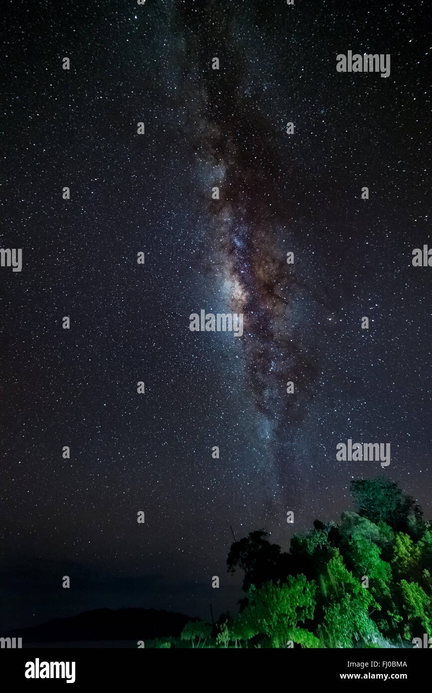 Gorgeous bright Milky Way and starry sky over lush green tropical ...