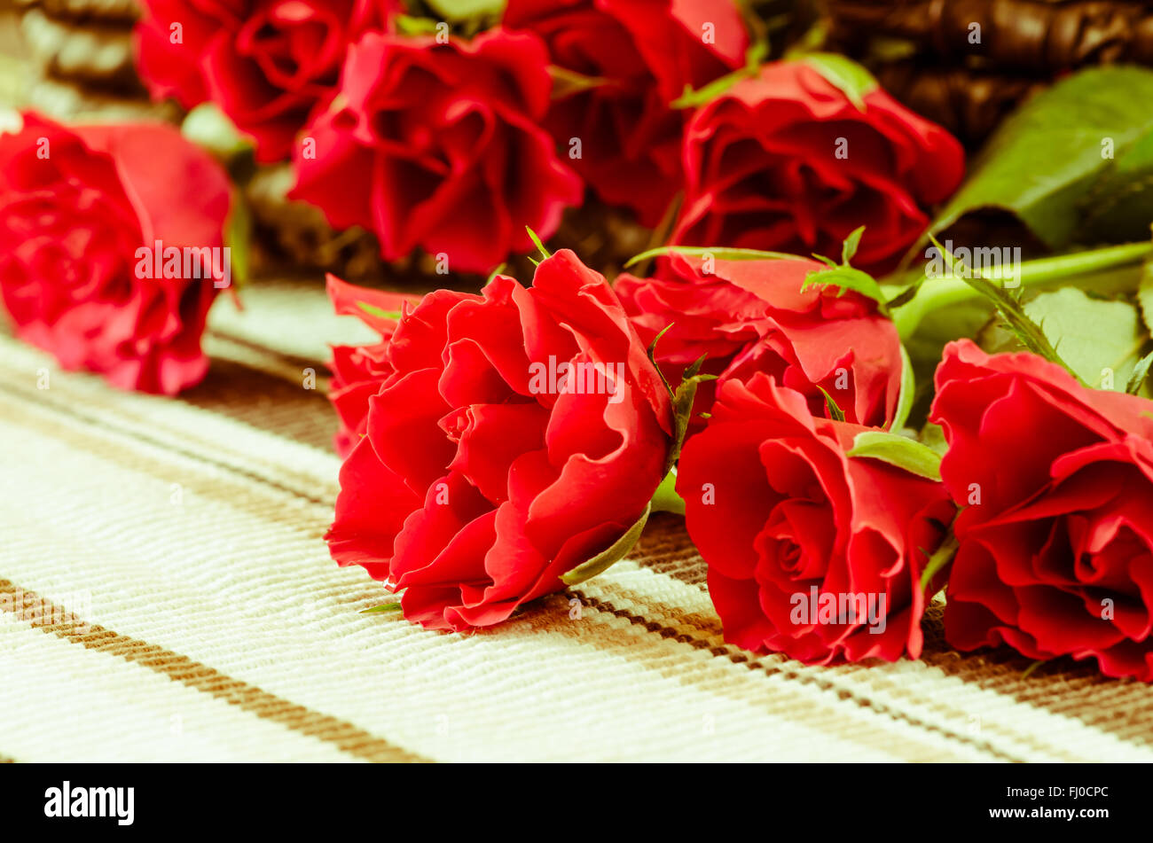 red roses image on cloth table background Stock Photo - Alamy