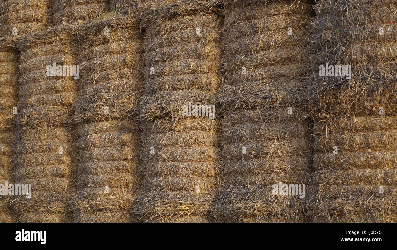 Abstract close of up stack hay bales in square blocks Stock Photo - Alamy