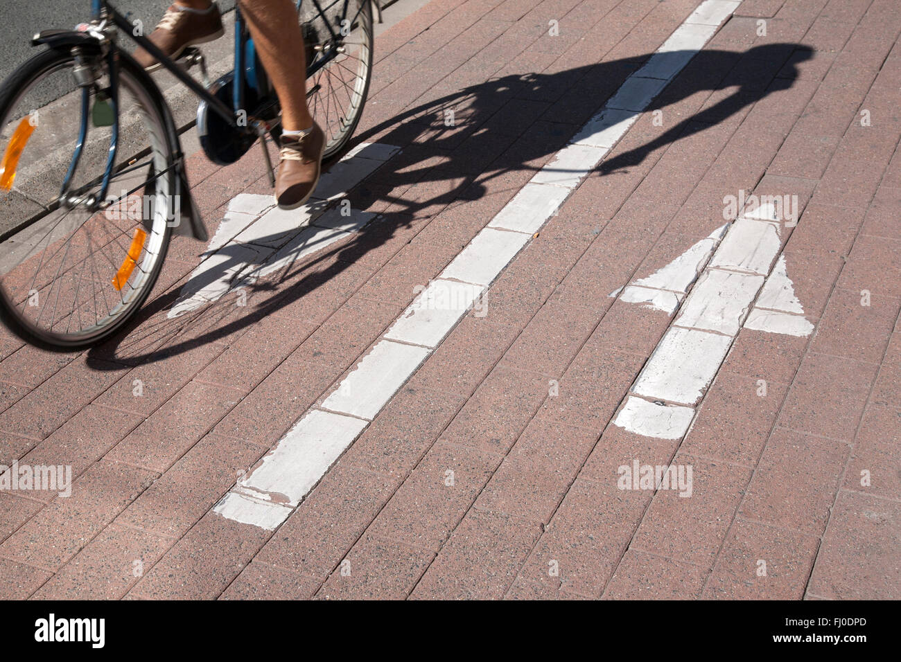 Cyclist on Bike Lane with Arrow Symbol Stock Photo - Alamy