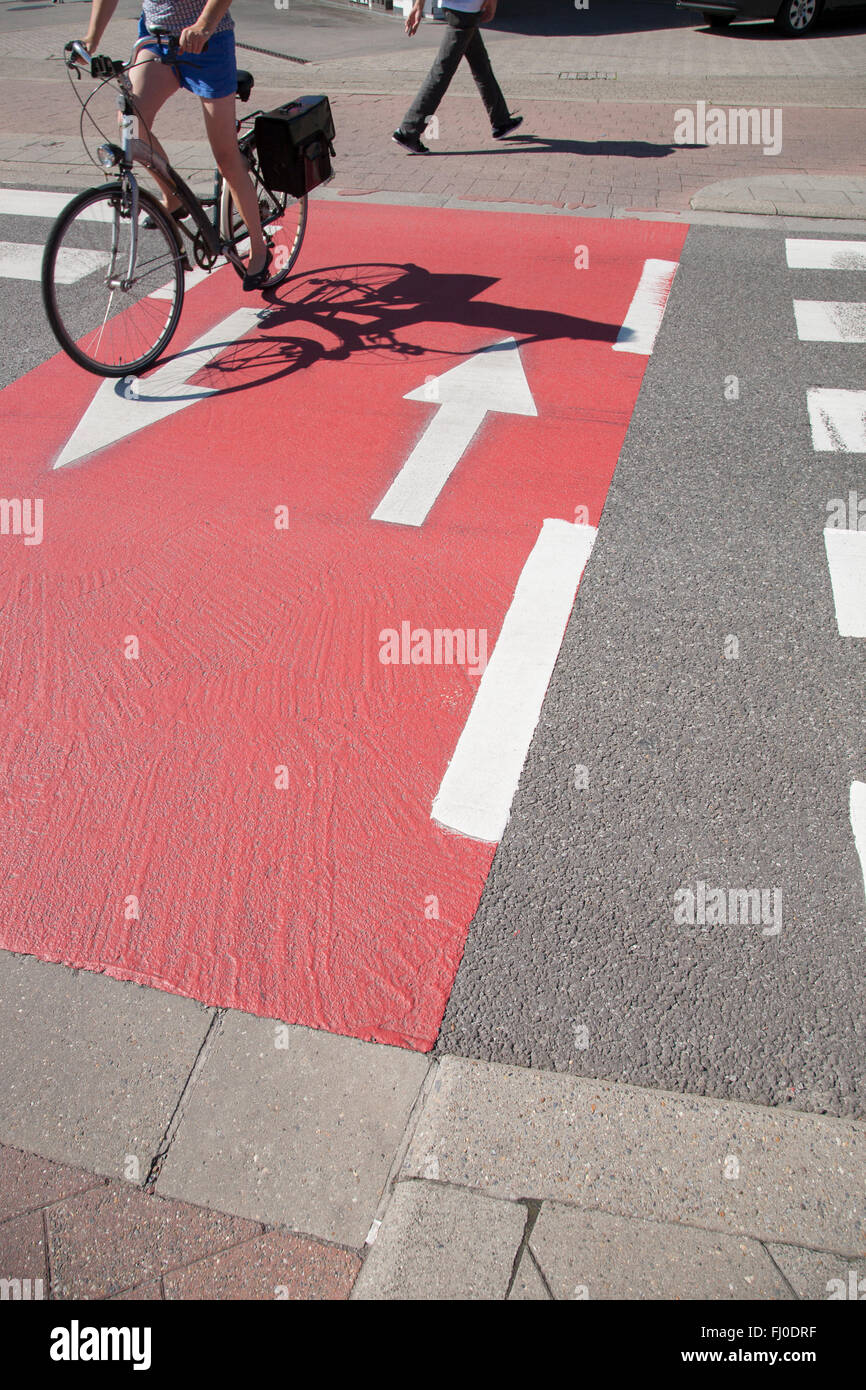 Cyclist on Bike Lane with Arrow Symbols Stock Photo - Alamy