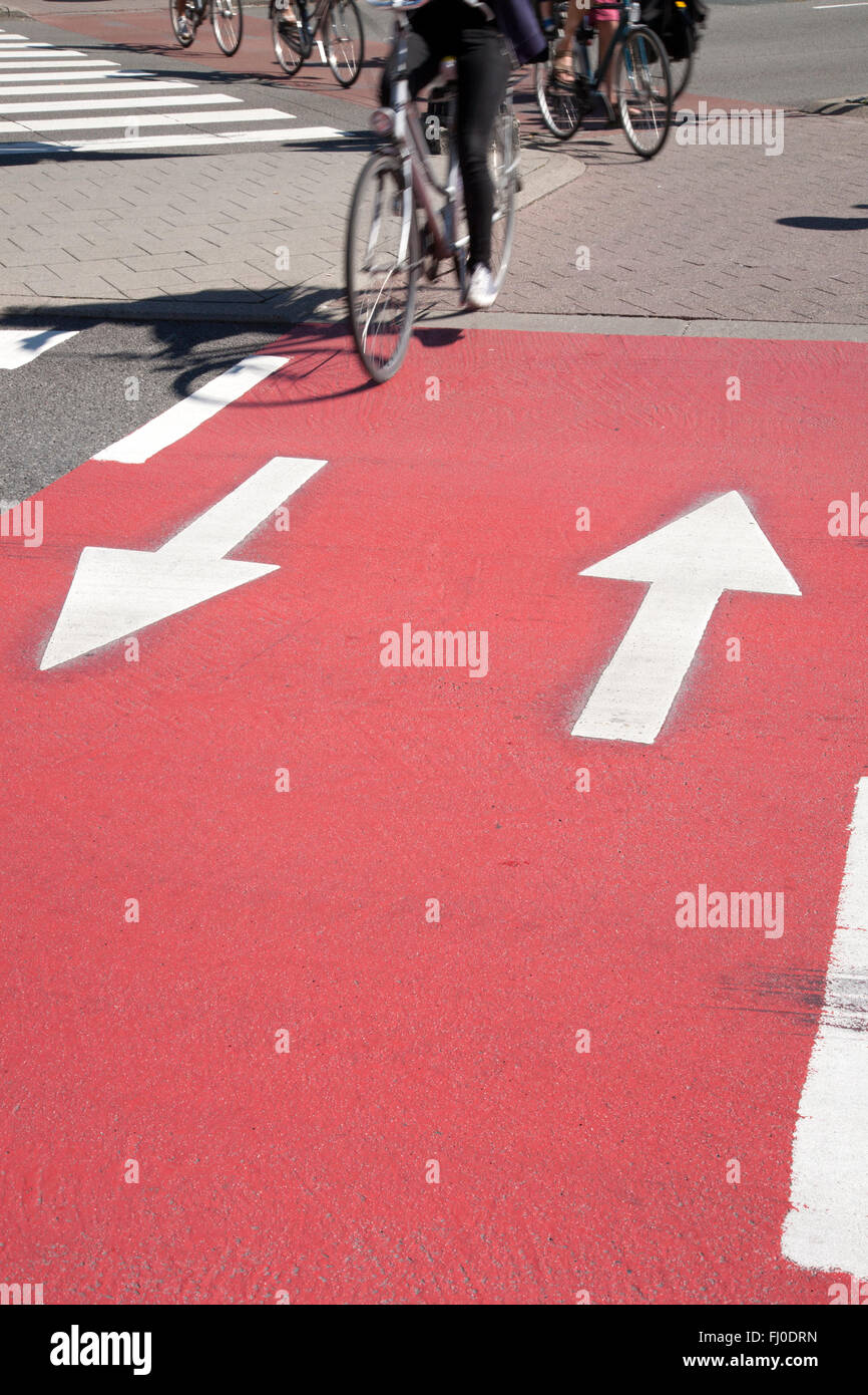 Cyclists on Bike Lane with Arrow Symbols Stock Photo - Alamy